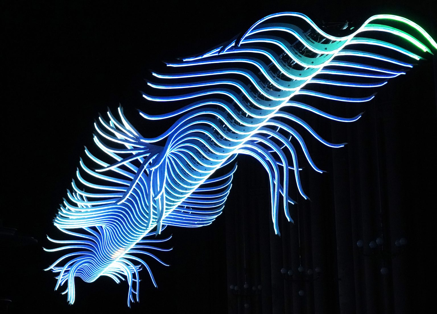 'Bird Passing By' set to take flight at Aire Park this Light Night ...